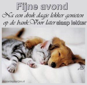 Fijne avond - Beste Plaatjes