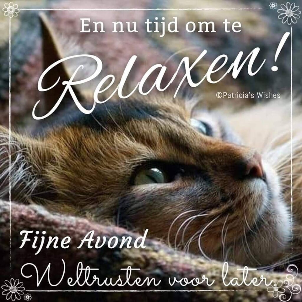 Fijne avond - Beste Plaatjes