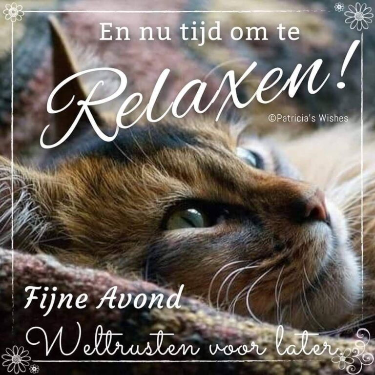 Fijne avond - Beste Plaatjes